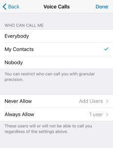 Telegram Introduces Voice Call with End-to-End Encryption