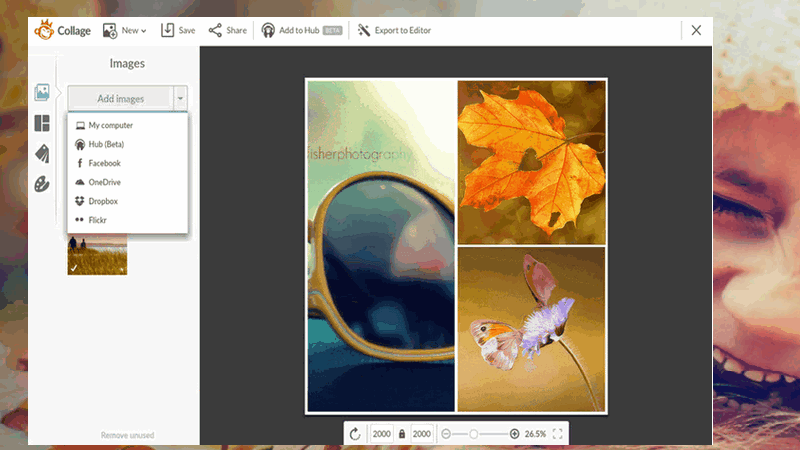 Picmonkey Collage Maker