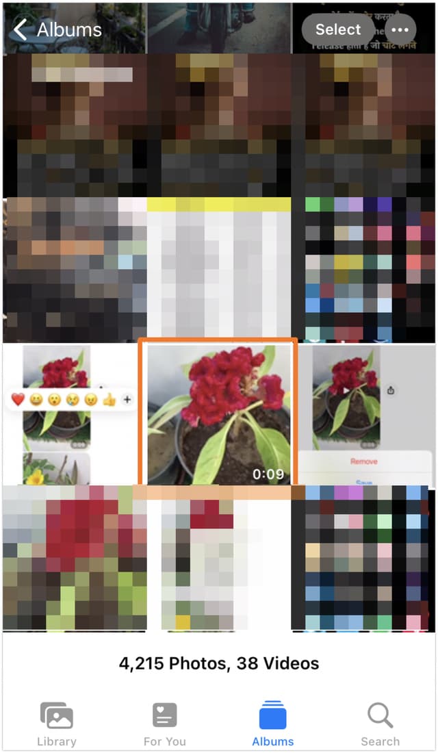 How to Download and Save Videos From Facebook Messenger (Android, iOS ...