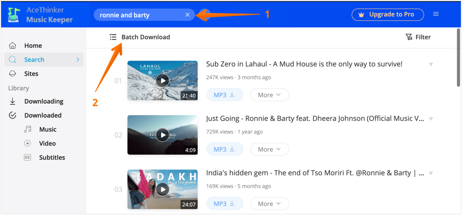 How to Download Music from Any Website with Ease