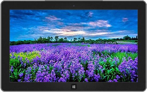 30 Stunning Windows Themes of Natural Wonders