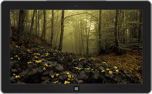 30 Stunning Windows Themes of Natural Wonders