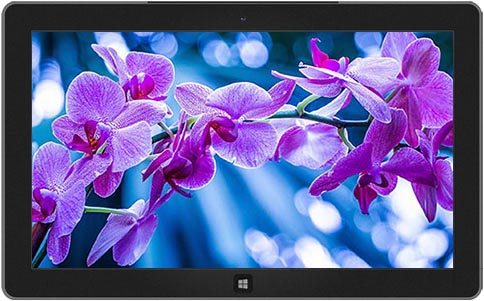 30 Stunning Windows Themes of Natural Wonders